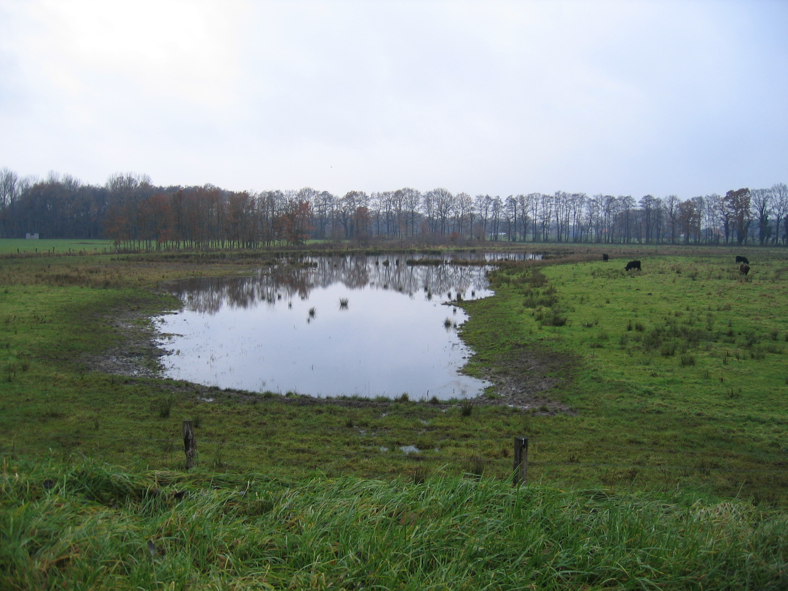 Landschafts- und Naturschutzgebiete | Startseite